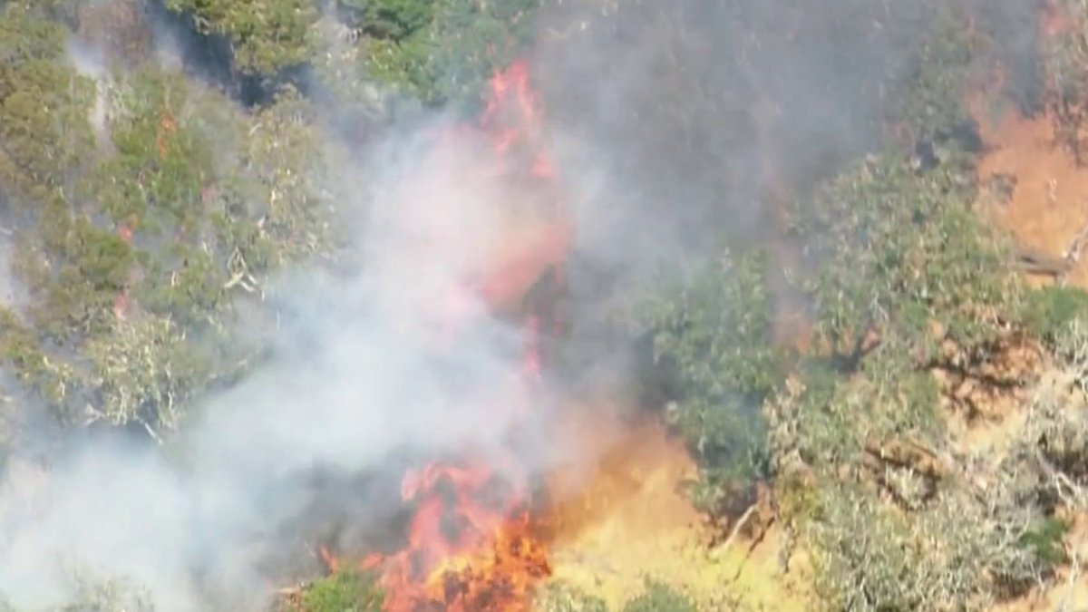 High Temperatures, Low Humidity, Wind All to Blame for Fast Spread of ...