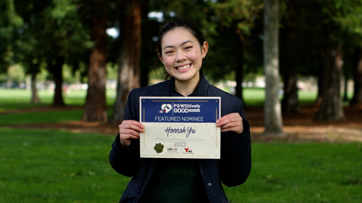 Meet Hannah Yu, Nominated for the Pawsitively Good Awards! – NBC Bay Area