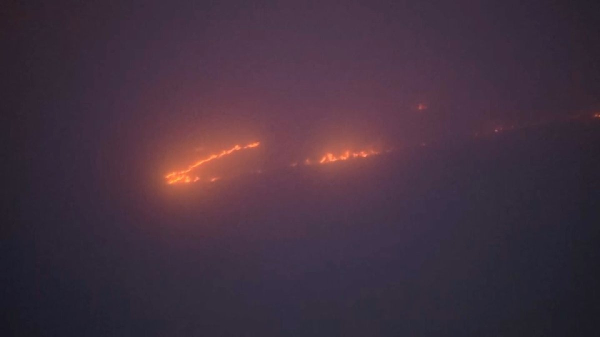 Brush Fire on San Bruno Mountain Burns Nearly 30 Acres – NBC Bay Area