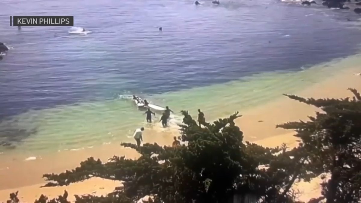 Pacific Grove Swimmer Attacked by 15-Foot Shark: Wildlife Officials ...
