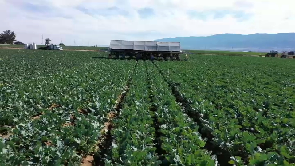 Climate Change Affects Food Insecurity Across the Globe – NBC Bay Area