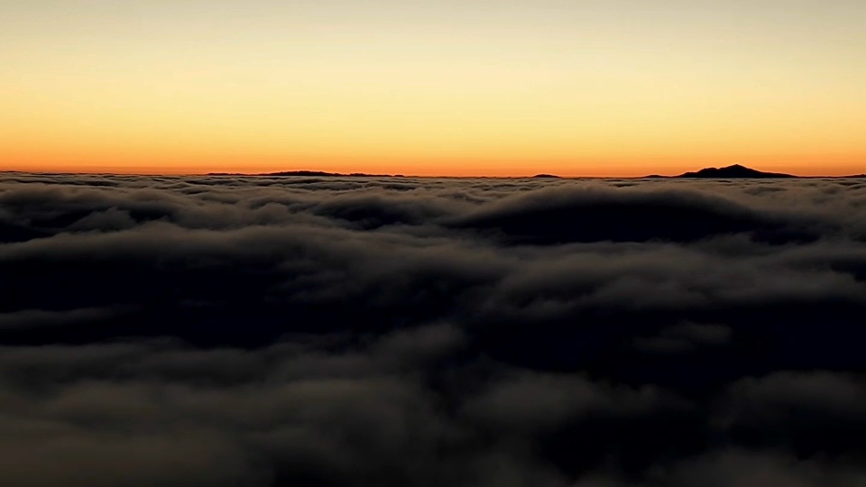 San Francisco Embraces Unique Climate With Fog Appreciation Day – NBC ...