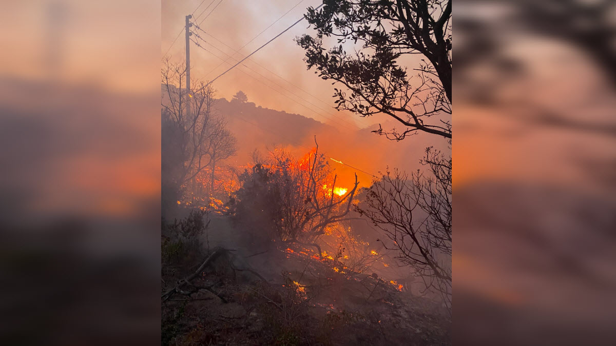 2 Brush Fires Break Out in Brisbane, Prompt Power Outages – NBC Bay Area
