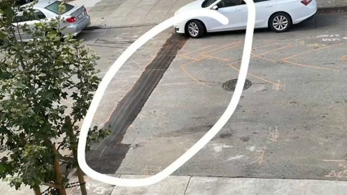 Triathlete Seriously Injured After Flying Off Bike Thanks to Bump on SF ...