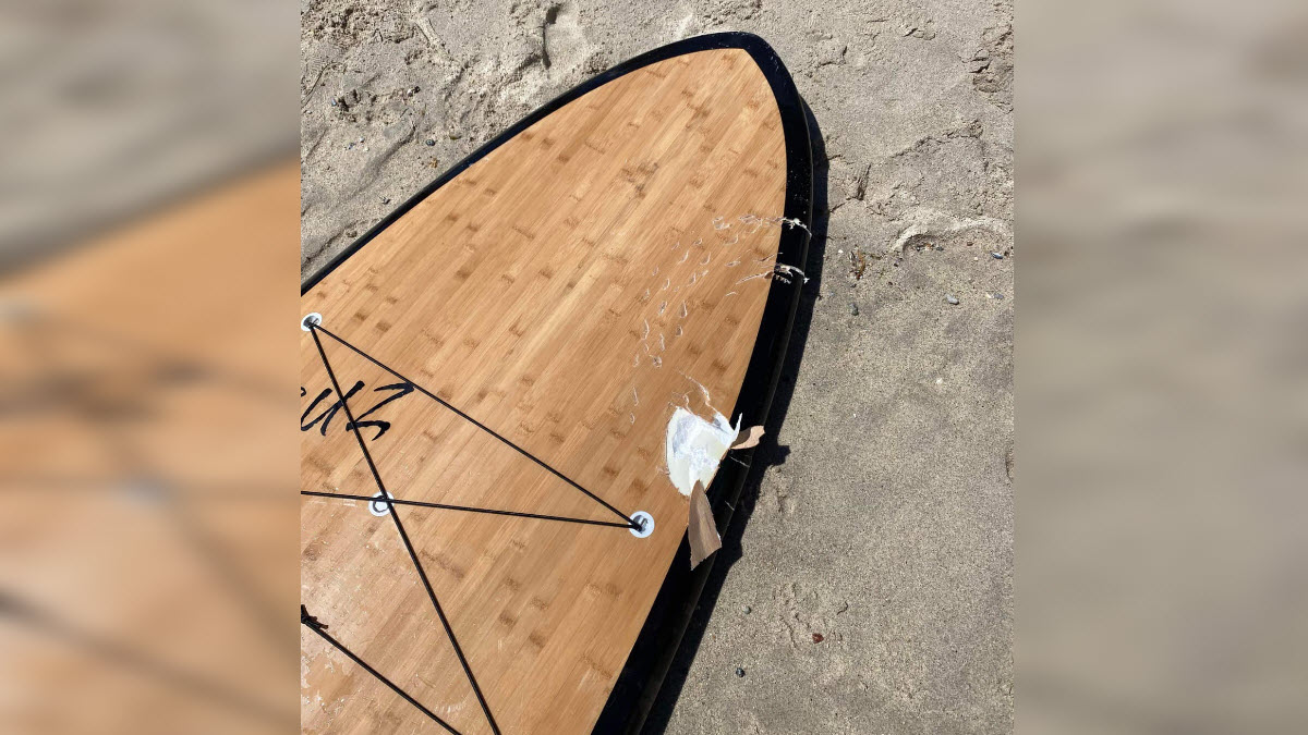 Monterey Issues Shark Sighting Warning at Lovers Point After Second ...