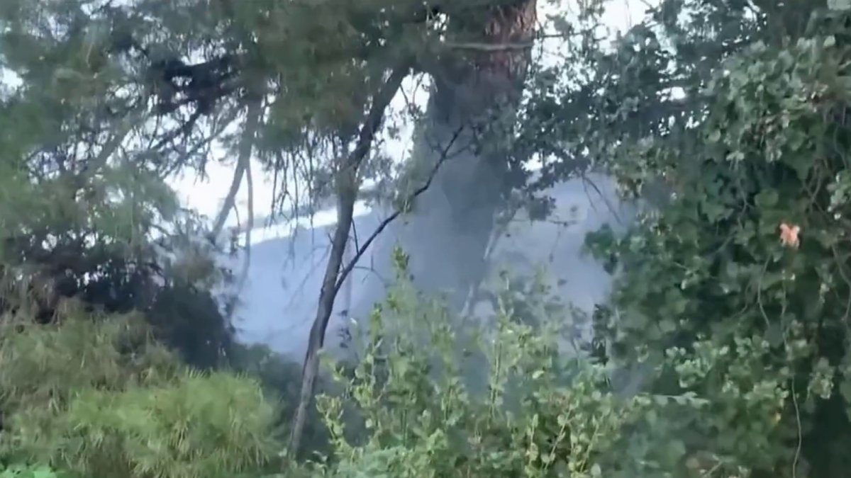 3 Brush Fires Near I-580 in Oakland Caused by Arson: Fire Officials ...