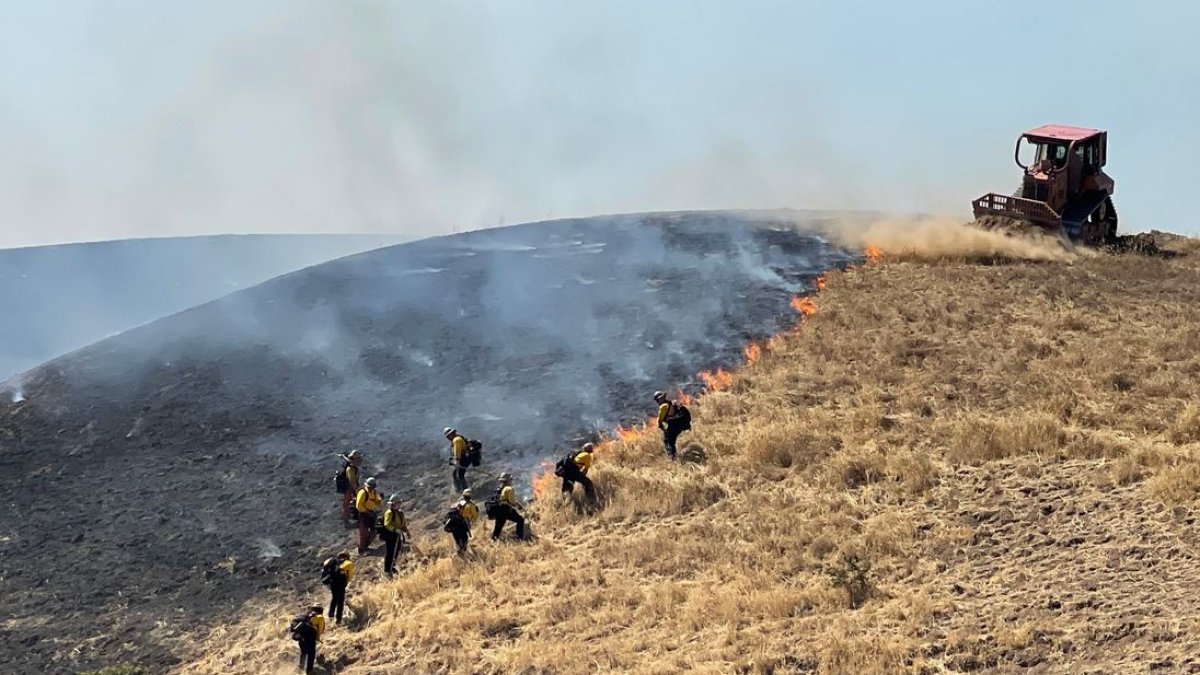 Barry Fire Burns 50 Acres in Contra Costa County – NBC Bay Area