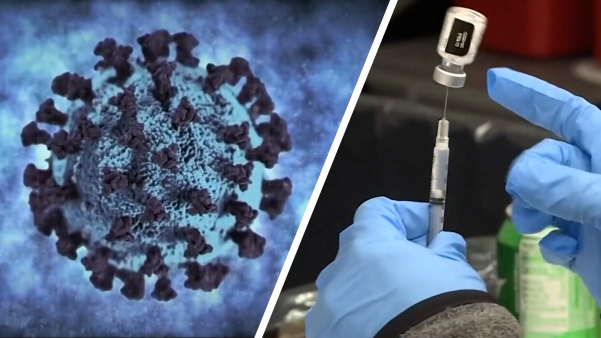 What to Know: The New Omicron COVID Booster Vaccine – NBC Bay Area