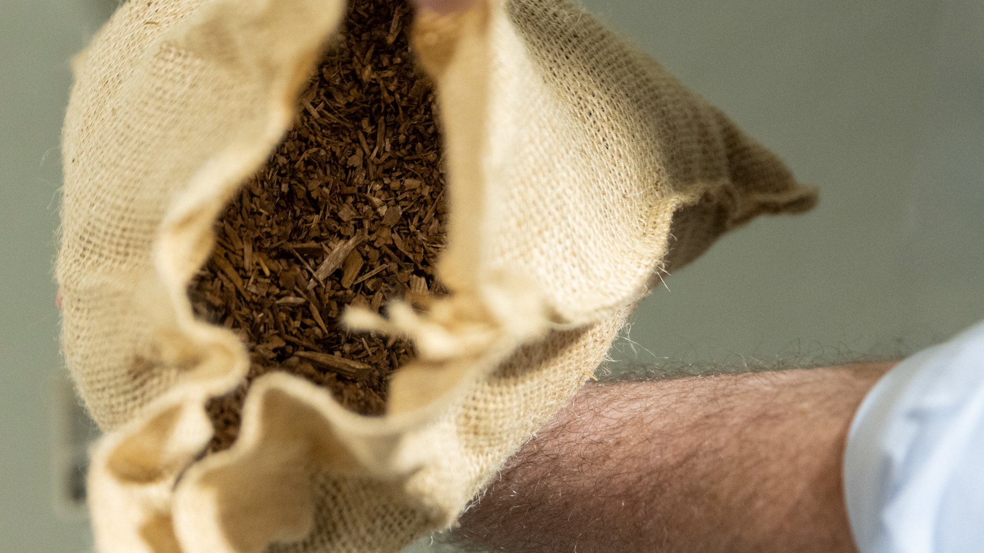 A Closer Look at Human Composting – NBC Bay Area