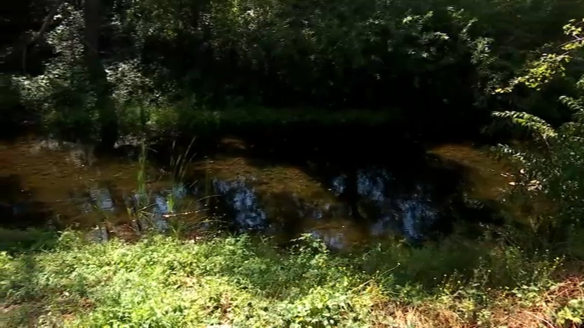 Recent Earthquake Caused Changes in Santa Rosa Creeks – NBC Bay Area