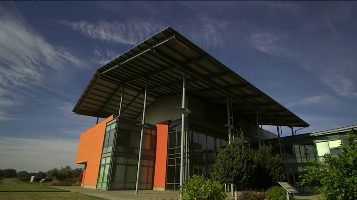 New UC Davis Lab Showcases Science of Taste – NBC Bay Area