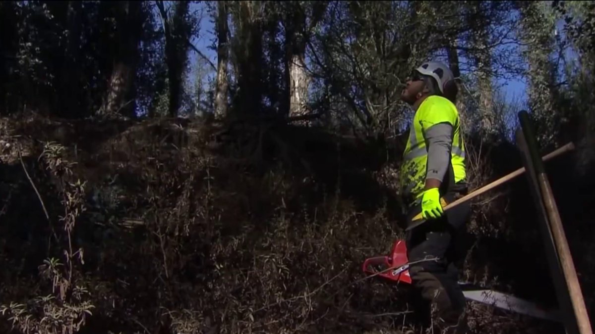 Berkeley Prepares for Rain Storm – NBC Bay Area
