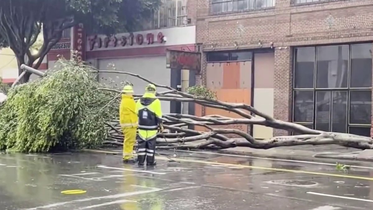 Storm Floods Streets, Downs Trees in San Francisco – NBC Bay Area