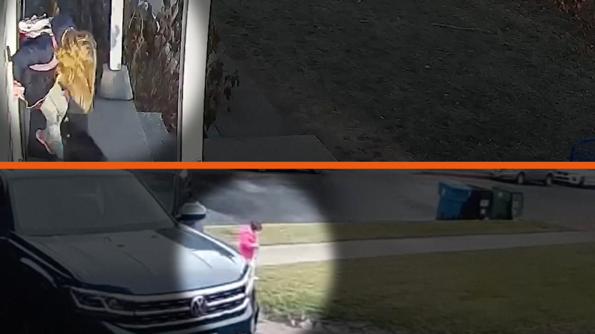 Animals Attacking Cars