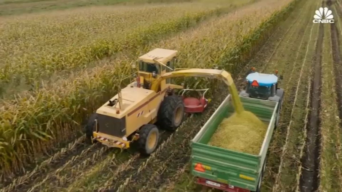 Climate in Crisis: Corn Fuels Clean Energy – NBC Bay Area