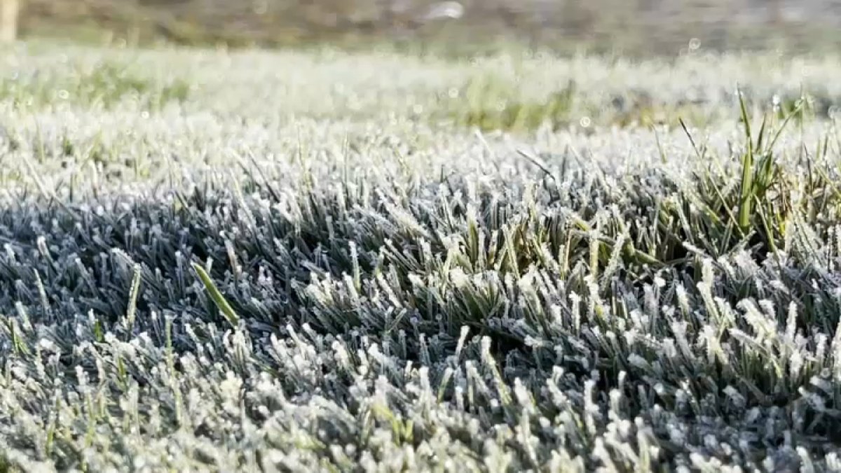 Officials Warn of Deadly Cold, Urge Unhoused People to Find Shelter ...
