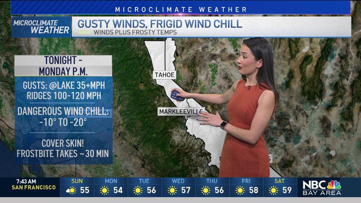 Forecast: Gusty Winds Around the Bay Area – NBC Bay Area