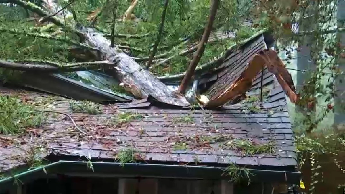Tree Branch Crashes Into Home in Woodside – NBC Bay Area
