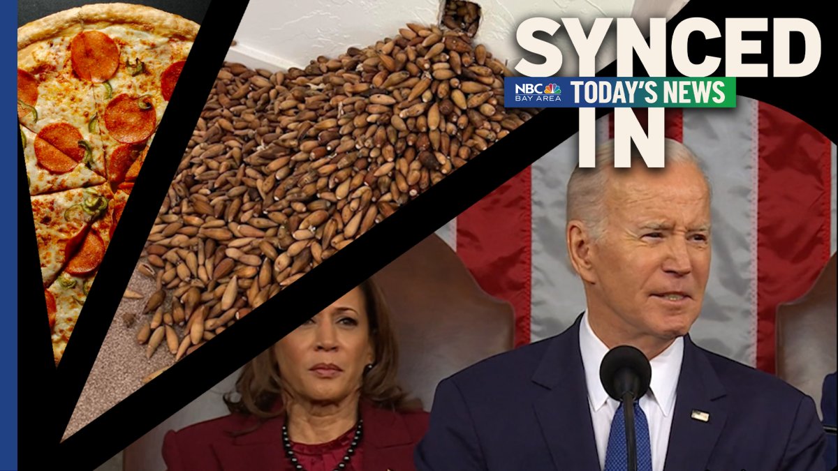 In the News: Fact-checking Biden’s Speech, Nutty Discovery, National ...