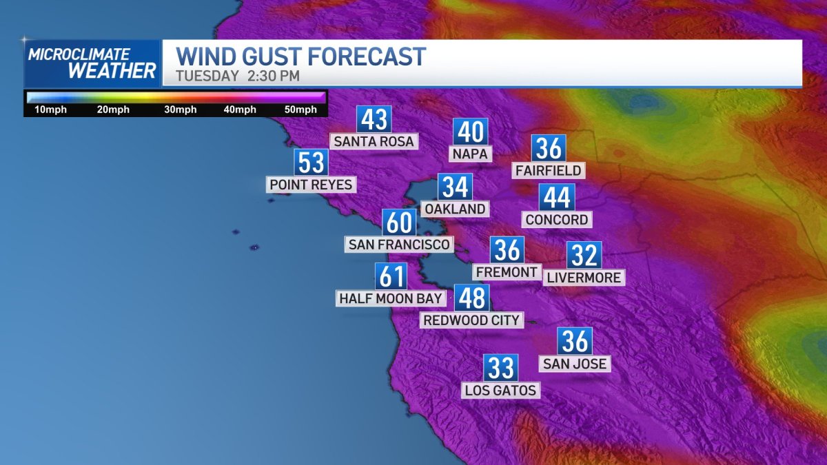 Bay Area Weather Forecast: Gusty Winds, Chilly Temperatures – NBC Bay Area