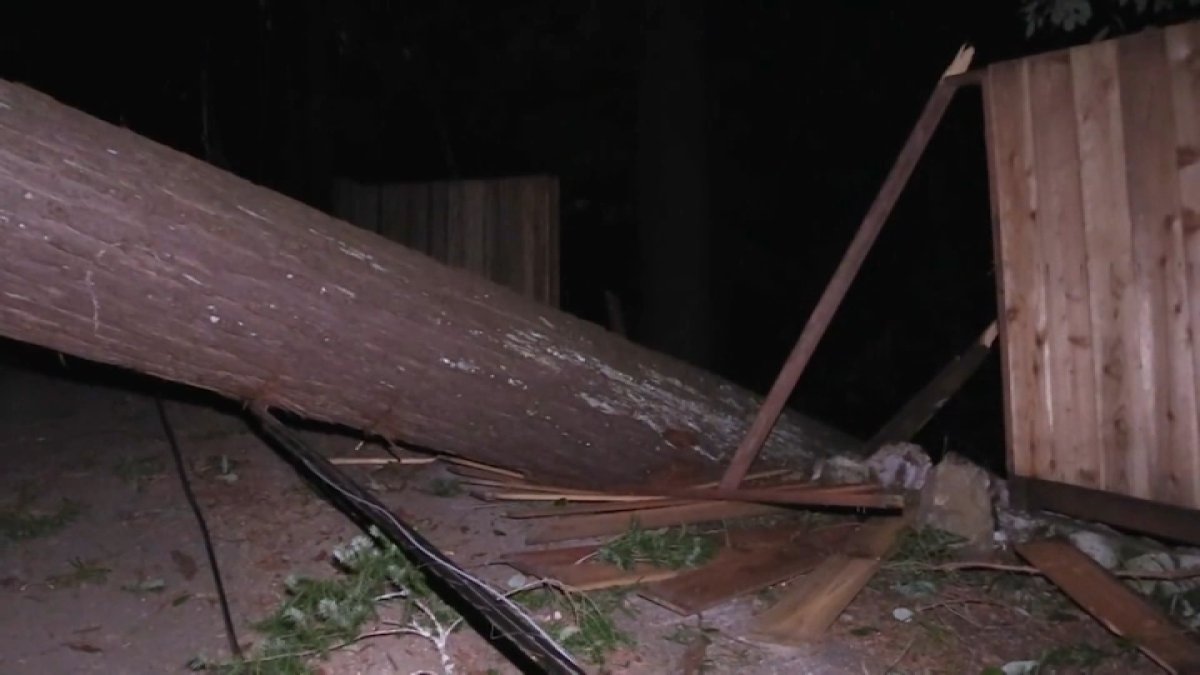 2-Year-Old Boy in Critical Condition After Redwood Tree Falls Into ...