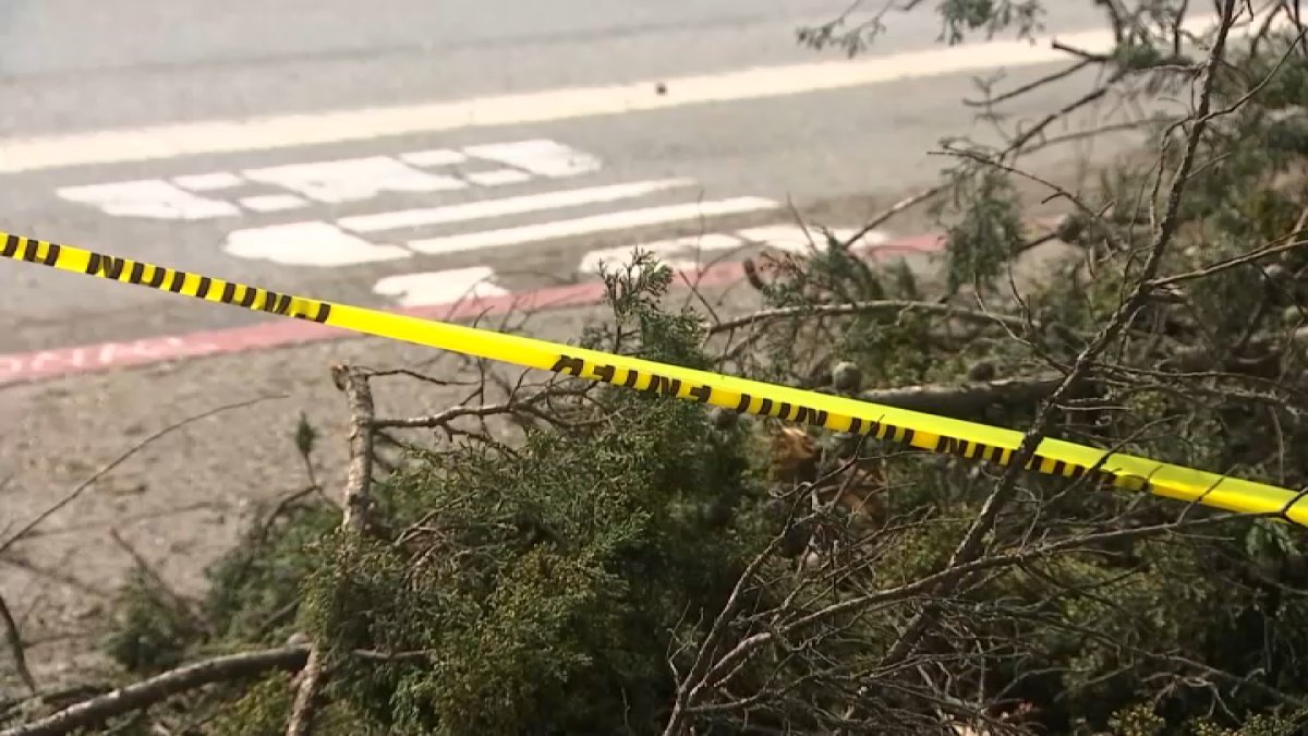 Storm-Related Deaths in San Francisco – NBC Bay Area