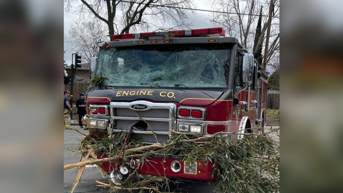 Falling Tree Crashes Into Firetruck in Walnut Creek – NBC Bay Area