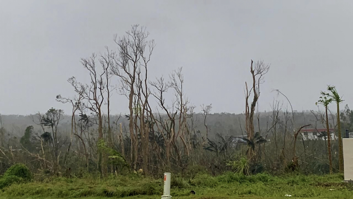 Typhoon Mawar Leaves Path of Destruction in Guam – NBC Bay Area