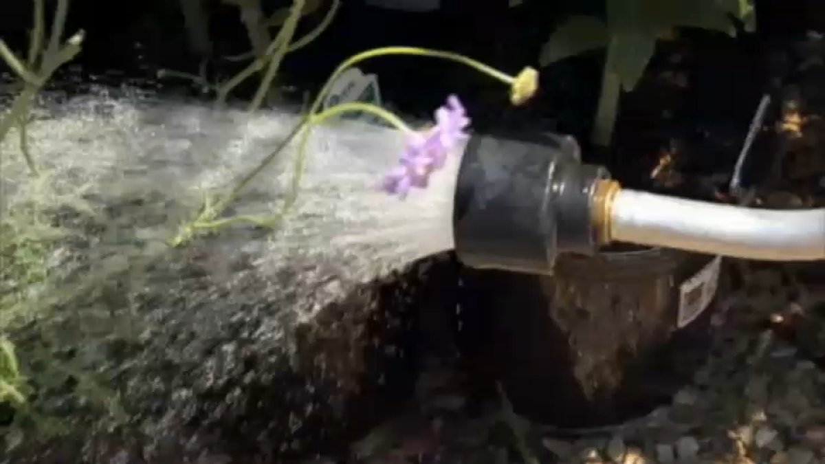 Marin Water Considers Rate Increases Up to 20% – NBC Bay Area