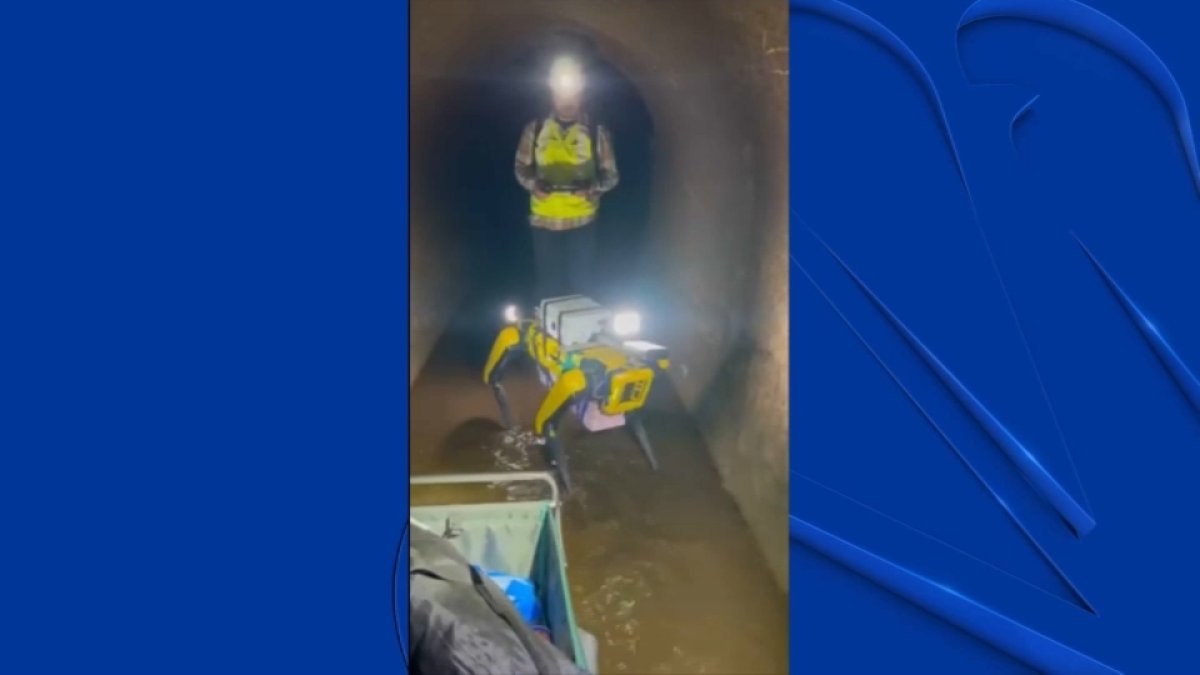 EBMUD, UC Berkeley testing robotic dog for infrastructure inspections ...