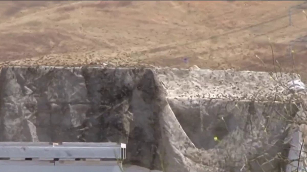 Elderly man hospitalized following bee attack near Petaluma – NBC Bay Area