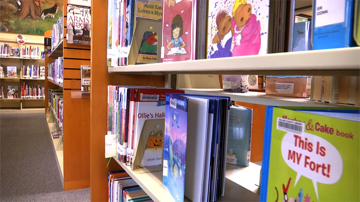 Thousands following North Bay librarian on TikTok for his real-life ...