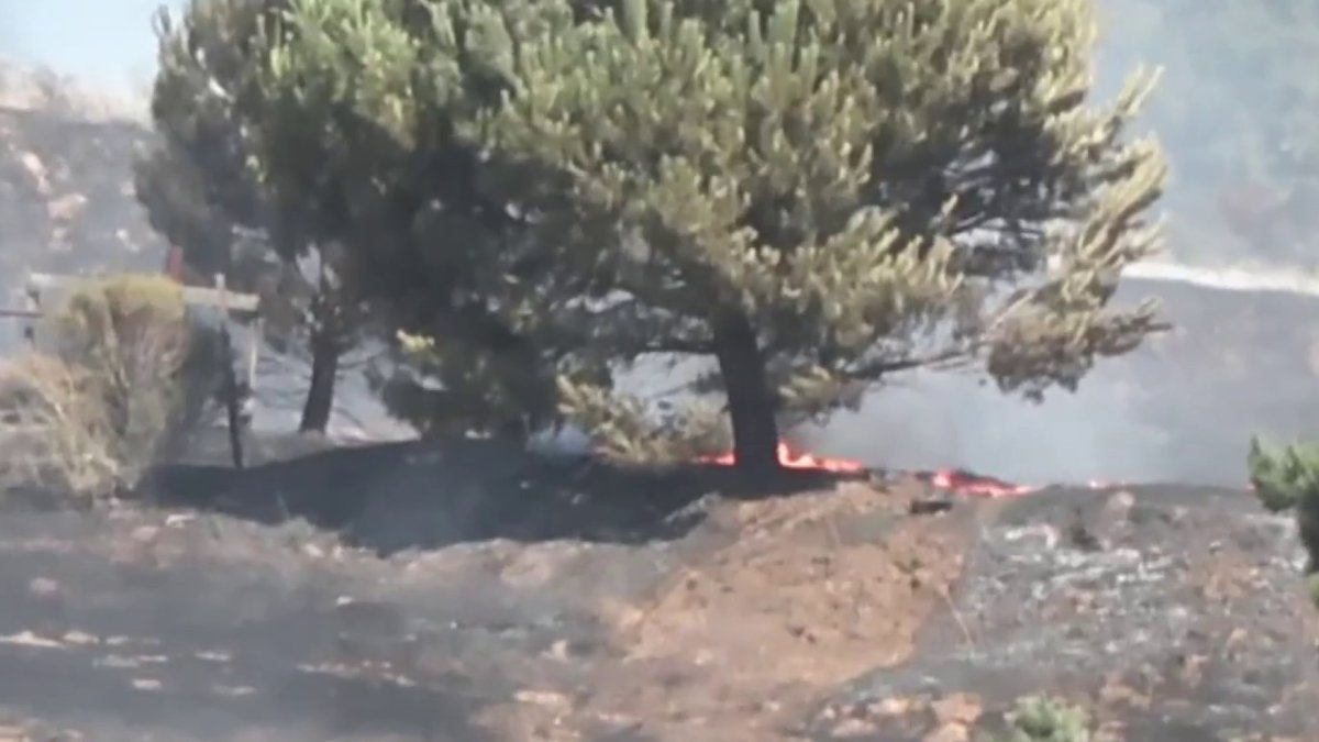Crews battle vegetation fire south of Martinez – NBC Bay Area