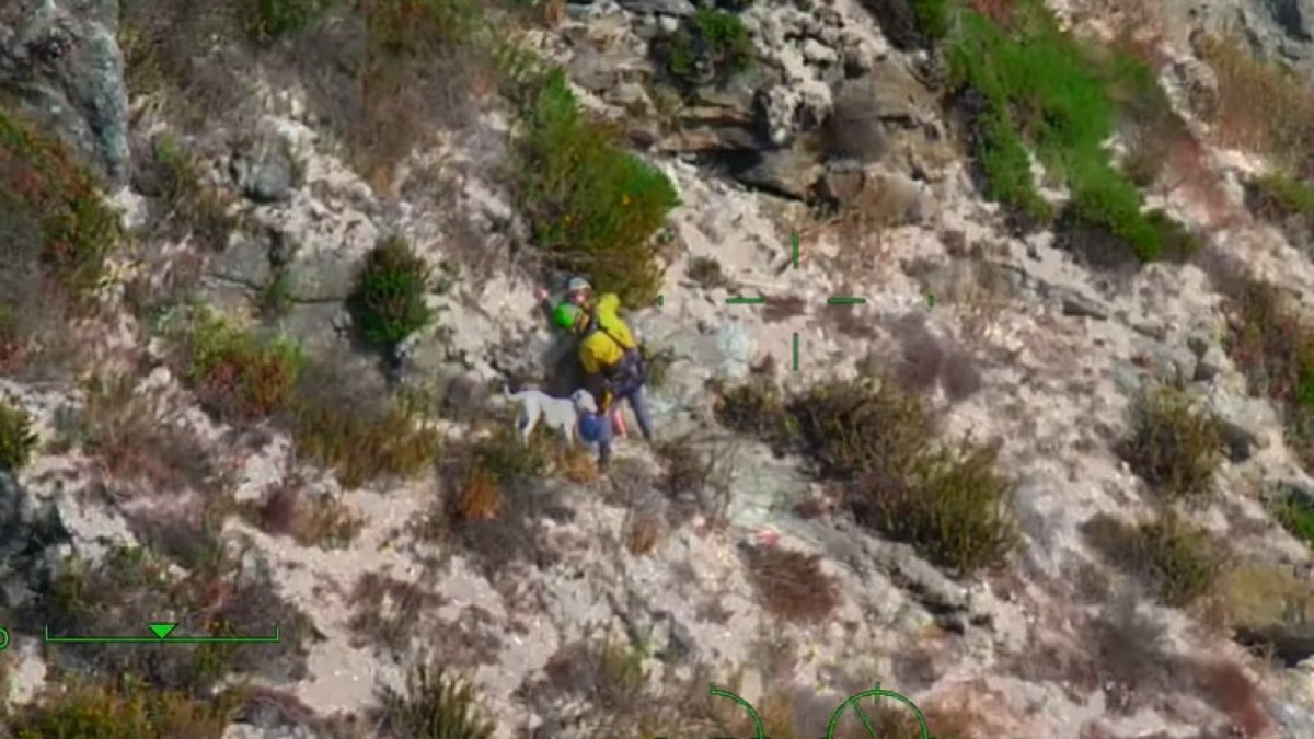 Woman, dog rescued from seaside cliff in Central California – NBC Bay Area