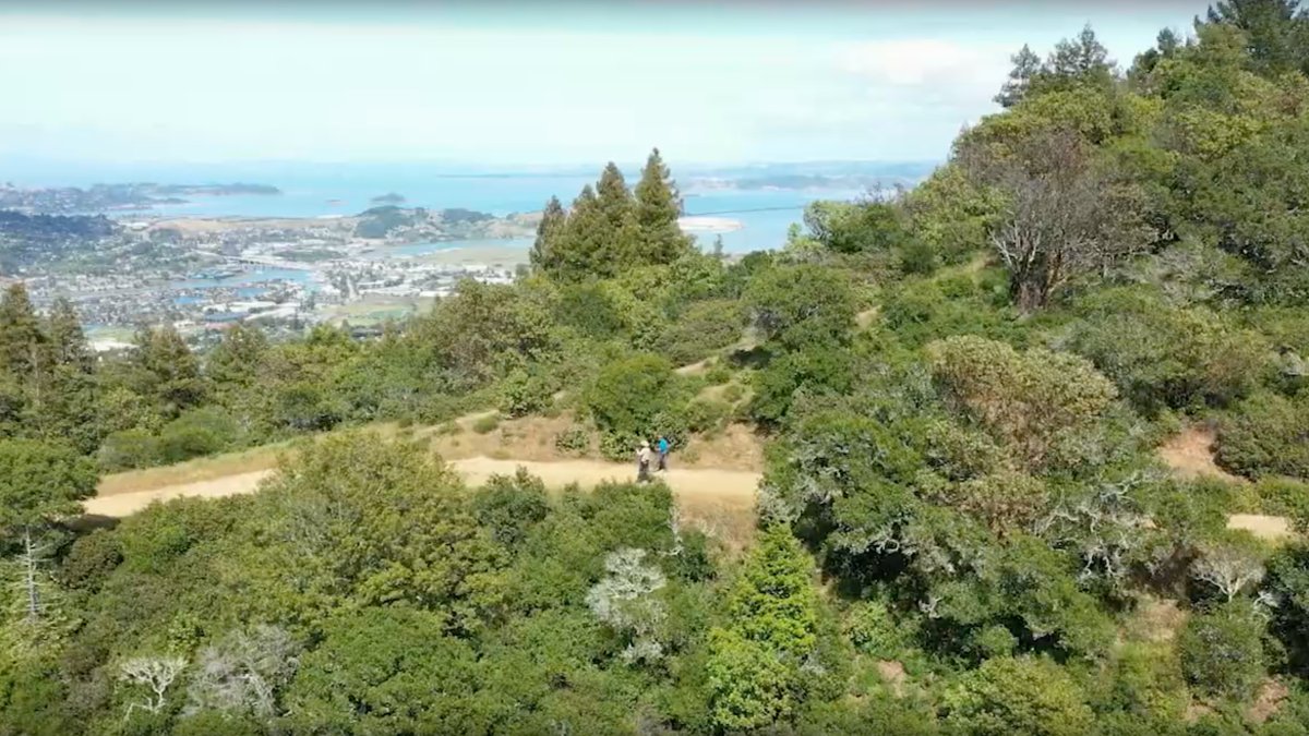 OpenRoad: Marin’s Scenic Trails and New East Bay Public Lands (Episode ...
