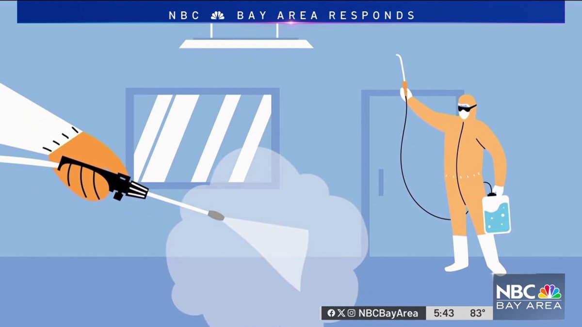 What to know about hiring a pest control company – NBC Bay Area