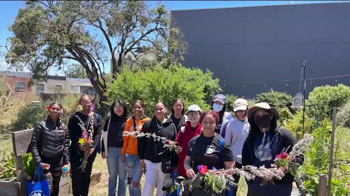 Unity trip helps Black, Chinese teenagers bridge their communities ...