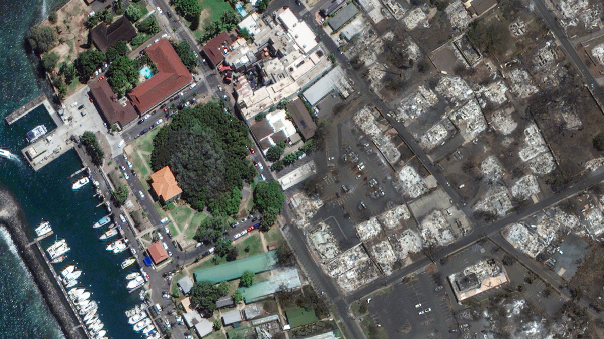 Maui wildfires: Before-and-after satellite photos show devastating damages – NBC Bay Area