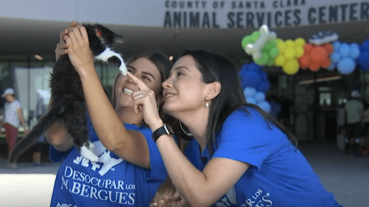 NBC Bay Area and Telemundo 48 Announce Nearly 4,300 Pets Were Adopted ...