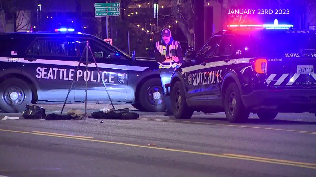 Video Captures Seattle Officer Saying Woman Struck By Another Patrol