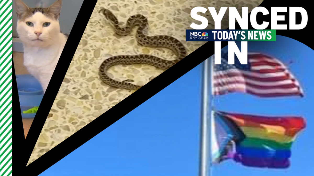In the news: Fight over flags, snake at SJC, Clear the shelters ...