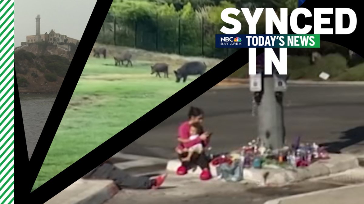 In the news: Deadly SJ hit and run, wild pig problem, Alcatraz marks 50 ...