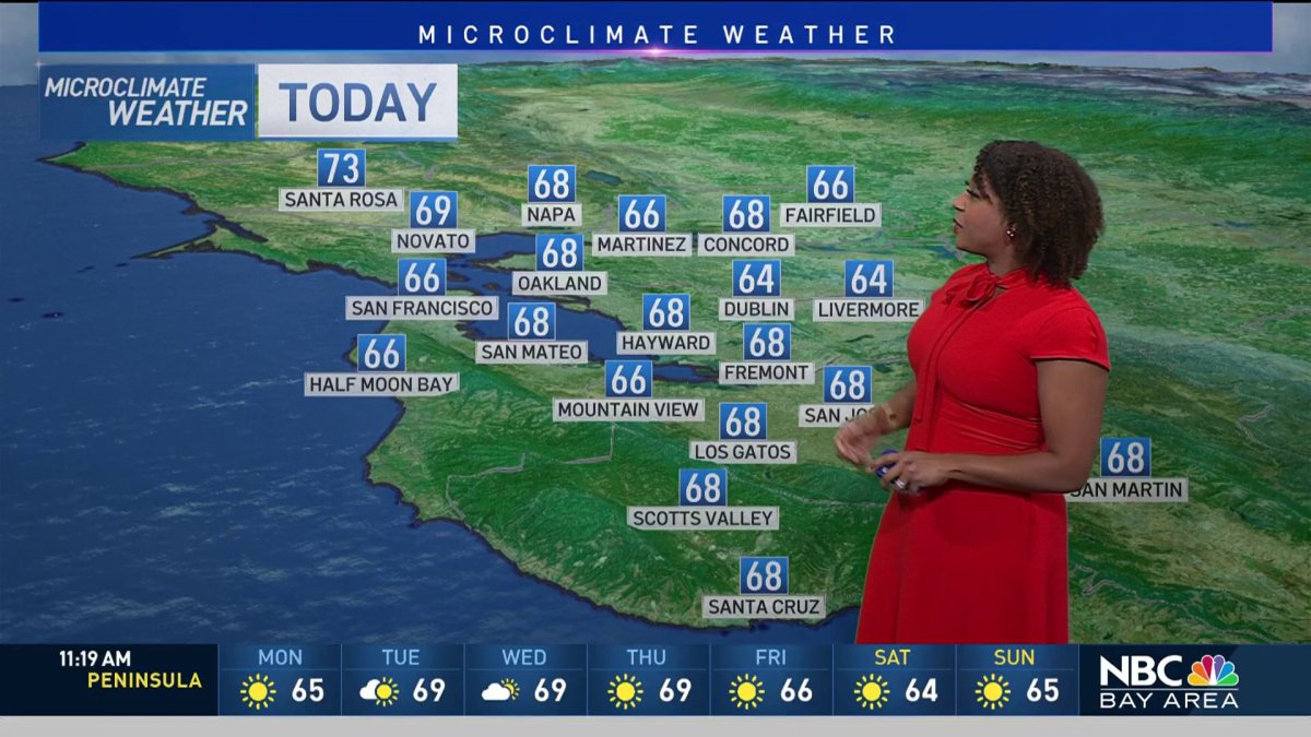 Forecast: Calming wind, mild day – NBC Bay Area
