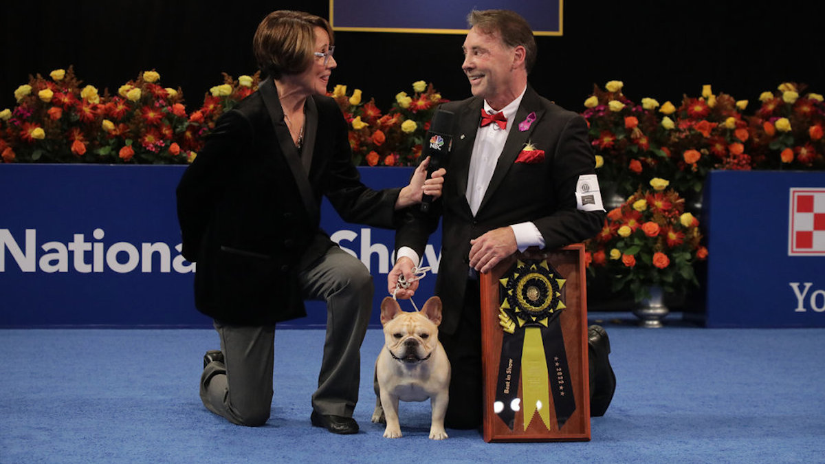 How to watch the 2023 ‘National Dog Show’ – NBC Bay Area