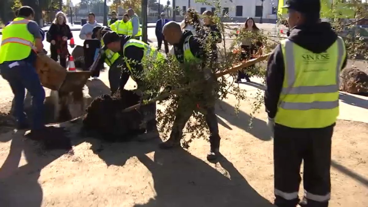 San Jose launches beautification project for city’s gateways – NBC Bay Area