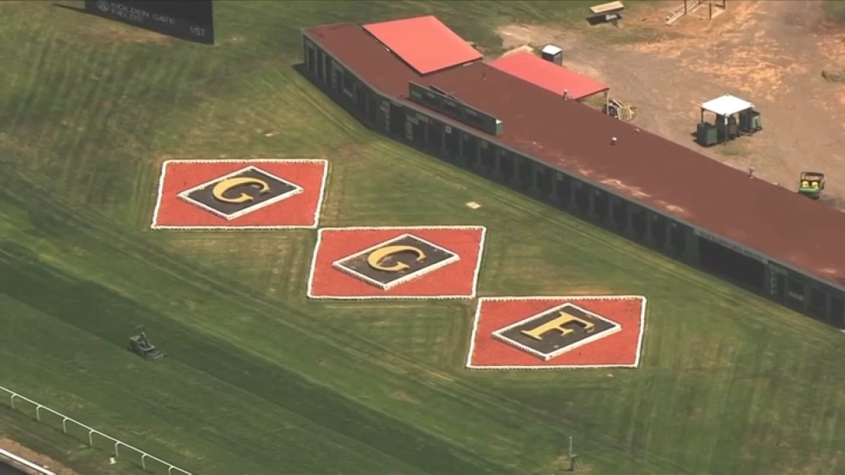 Filly dies at Golden Gate Fields, 17th racehorse death at the track ...