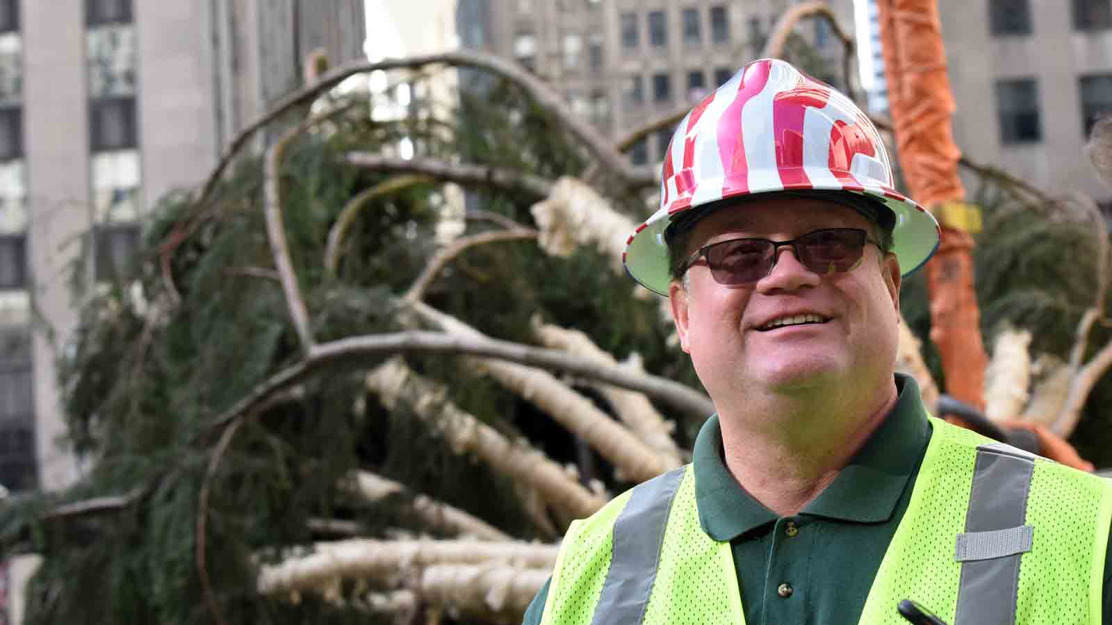 How the Rockefeller Center Christmas tree is picked and moved – NBC Bay ...