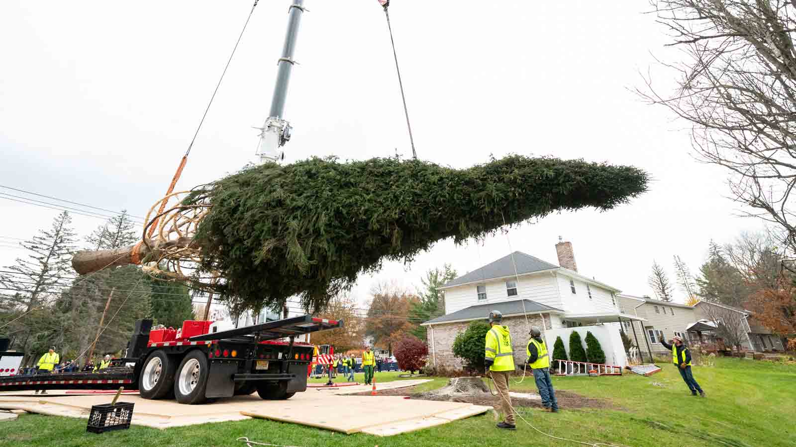 Rockefeller Center Christmas tree: What to know – NBC Bay Area