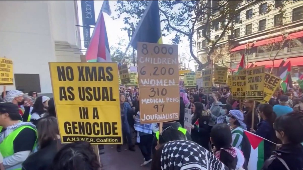 Pro Palestinian Demonstrators Gather At Two Bay Area Cities Nbc Bay Area