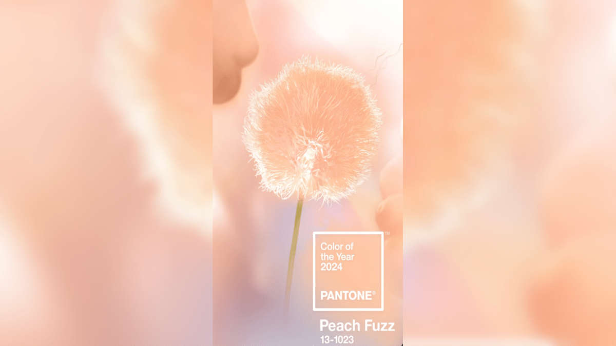 Pantone color of the year 2024 has us feeling warm and fuzzy – NBC Bay Area